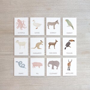 58 Animal Flashcards, Safari Farm Zoo Animals Flash Cards, Montessori ...