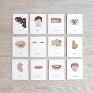30 Editable Body Parts Flashcards, Toddler Anatomy Cards, Montessori ...