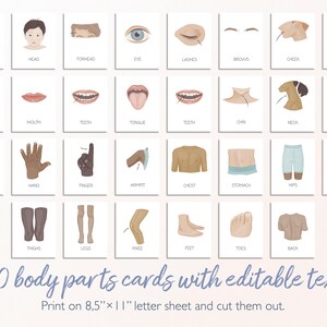 30 Editable Body Parts Flashcards, Toddler Anatomy Cards, Montessori ...