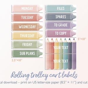 Editable Rainbow Classroom Labels: Teacher Toolbox Organizer (digital ...