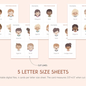 French Flashcards, Emotion Flashcards, Feelings Flash Cards, Montessori ...