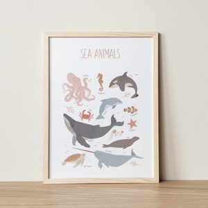 Set of 6 Educational Posters, Animal Alphabet, ABC Poster, Classroom ...