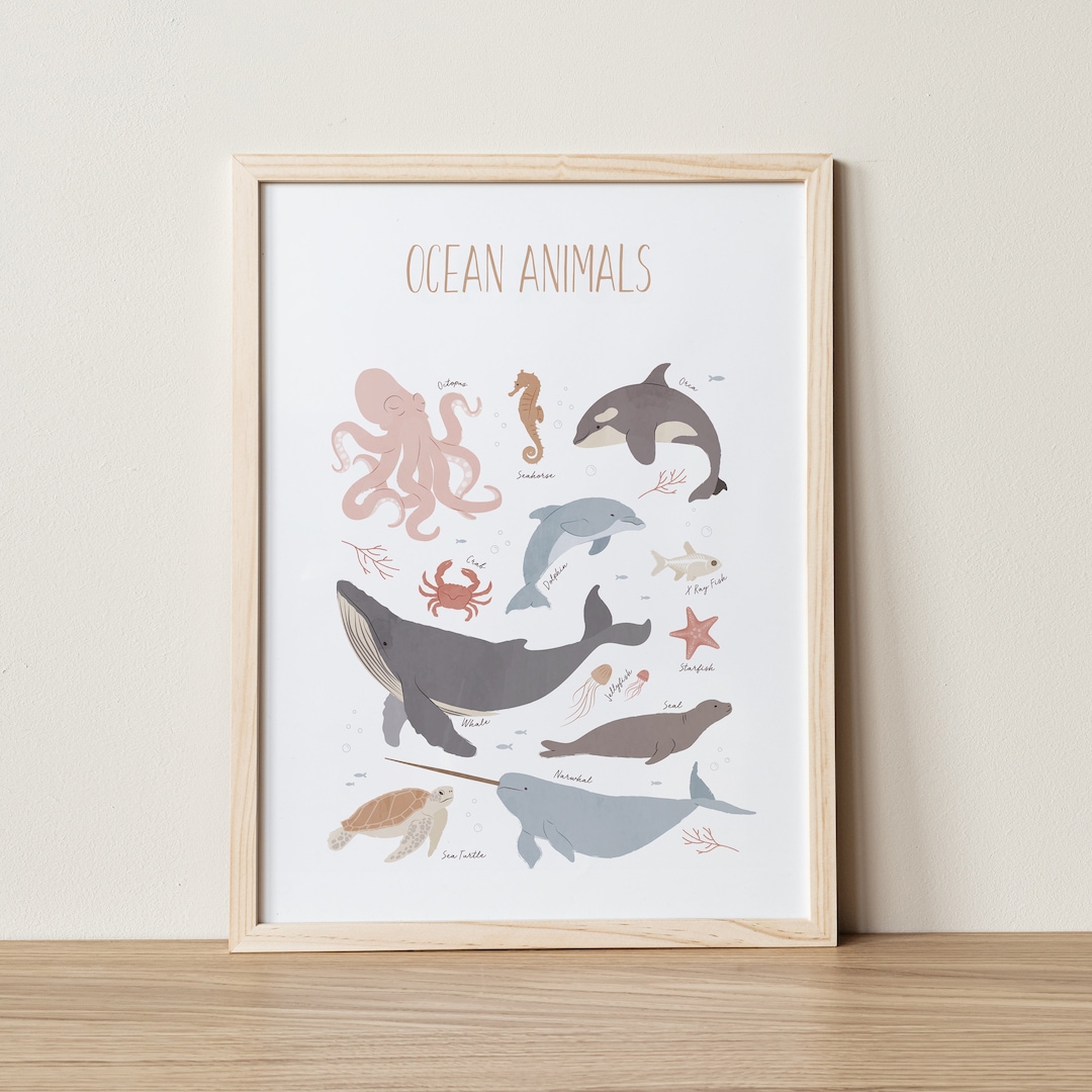 Sea Life Print, Ocean Animals, Educational Posters, Whale Print ...