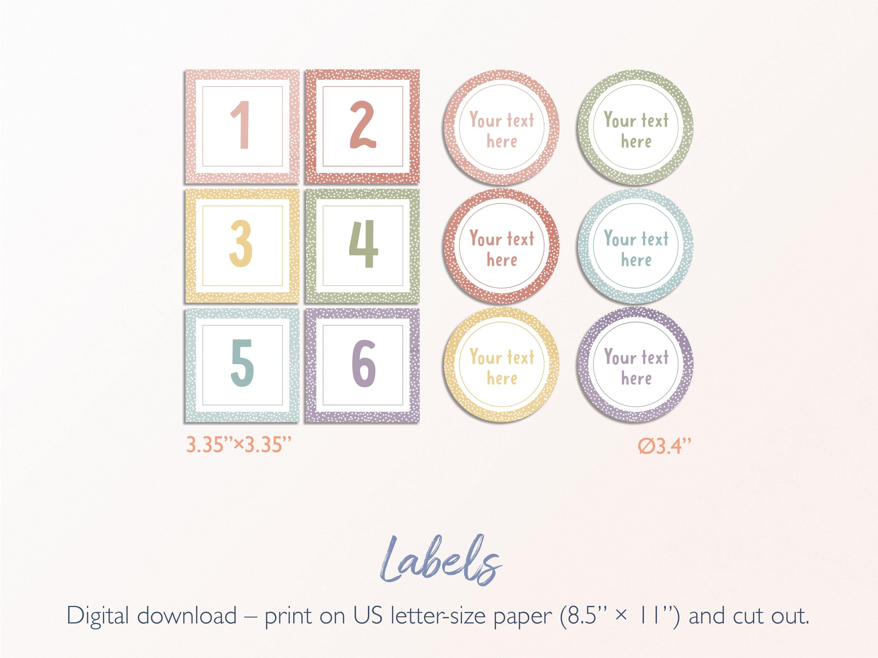 Editable Rainbow Classroom Labels: Teacher Toolbox Organizer (digital ...