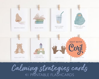 Emotion Flashcards Feelings Flash Cards Montessori - Etsy