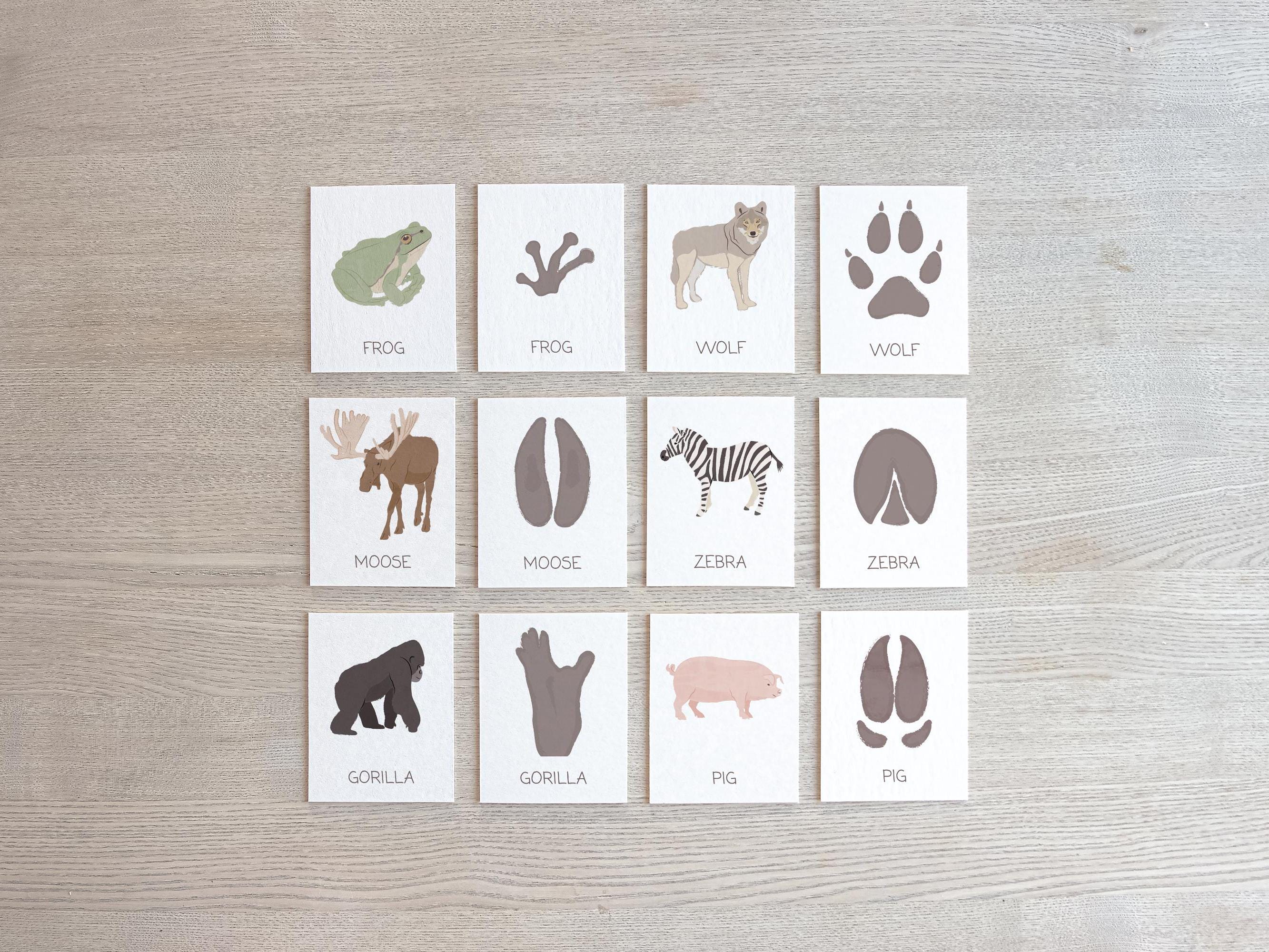 Animal Tracks Flashcards: Montessori Nature Study (digital Download) - Etsy
