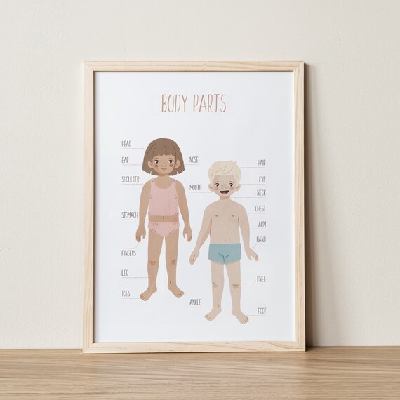 Body Parts Print My Body Educational Posters Montessori | Etsy
