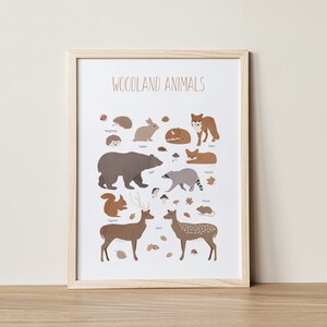 Set of 6 Educational Posters, Animal Alphabet, ABC Poster, Classroom ...