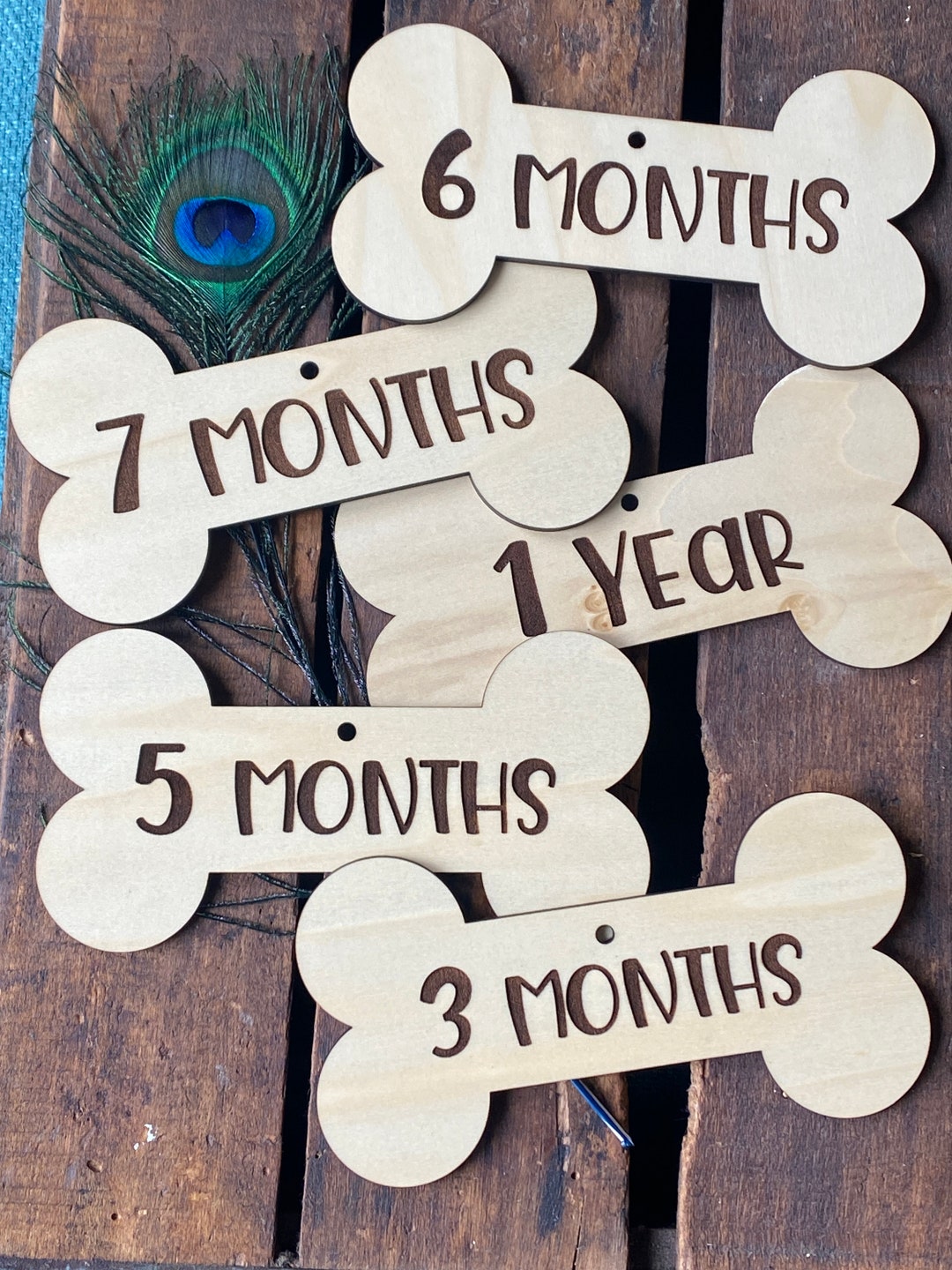 Wooden Puppy Milestone Cards: Bone Shaped Photo Prop - Etsy