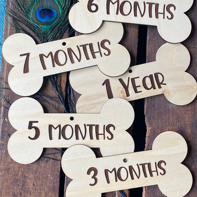 Puppy Baby Milestone Sign - Etsy