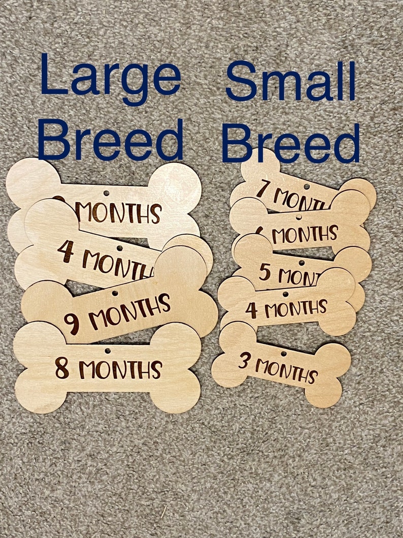 Wooden Puppy Milestone Cards: Bone Shaped Photo Prop - Etsy