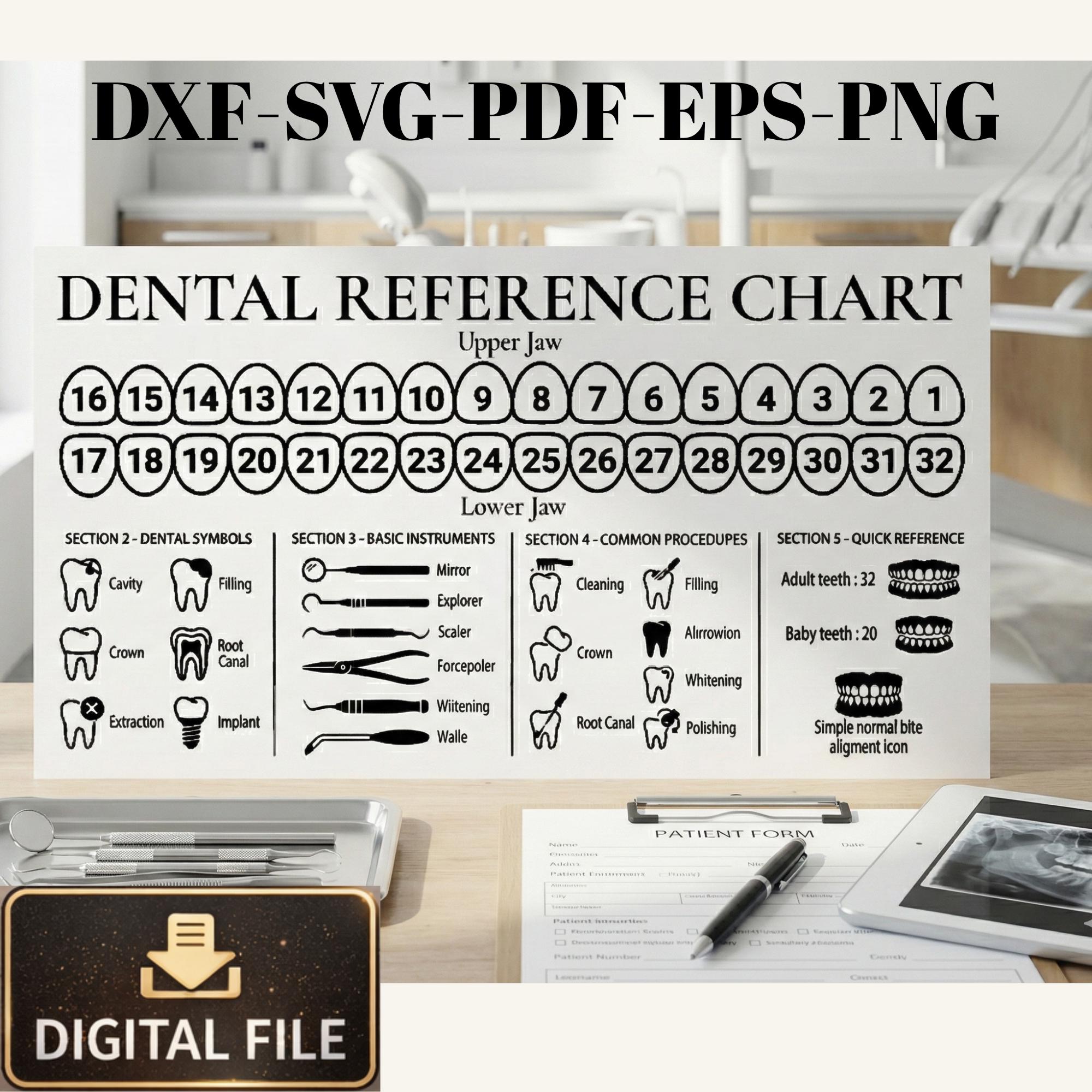 Dental Reference Chart Printable | Tooth Numbering Guide | Dentist ...