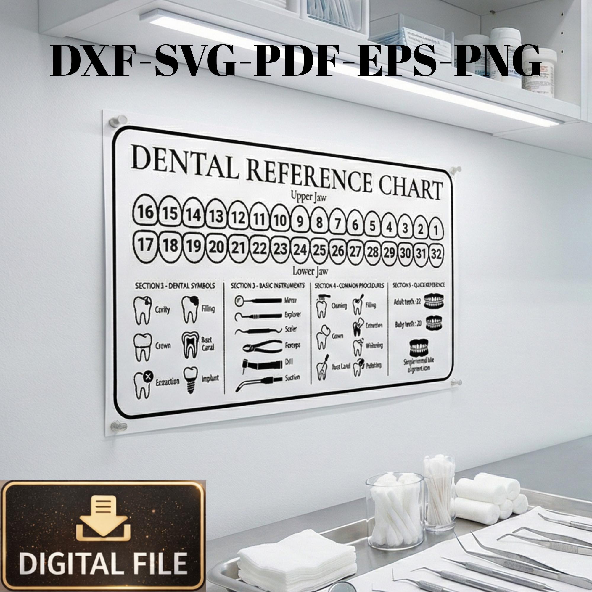 Dental Reference Chart Printable | Tooth Numbering Guide | Dentist ...
