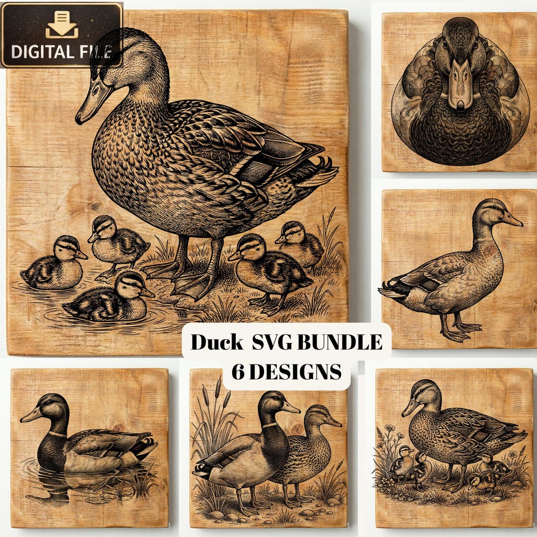 Vintage Duck Engraving SVG Bundle, Farmhouse Decor (6 Designs) (digital ...