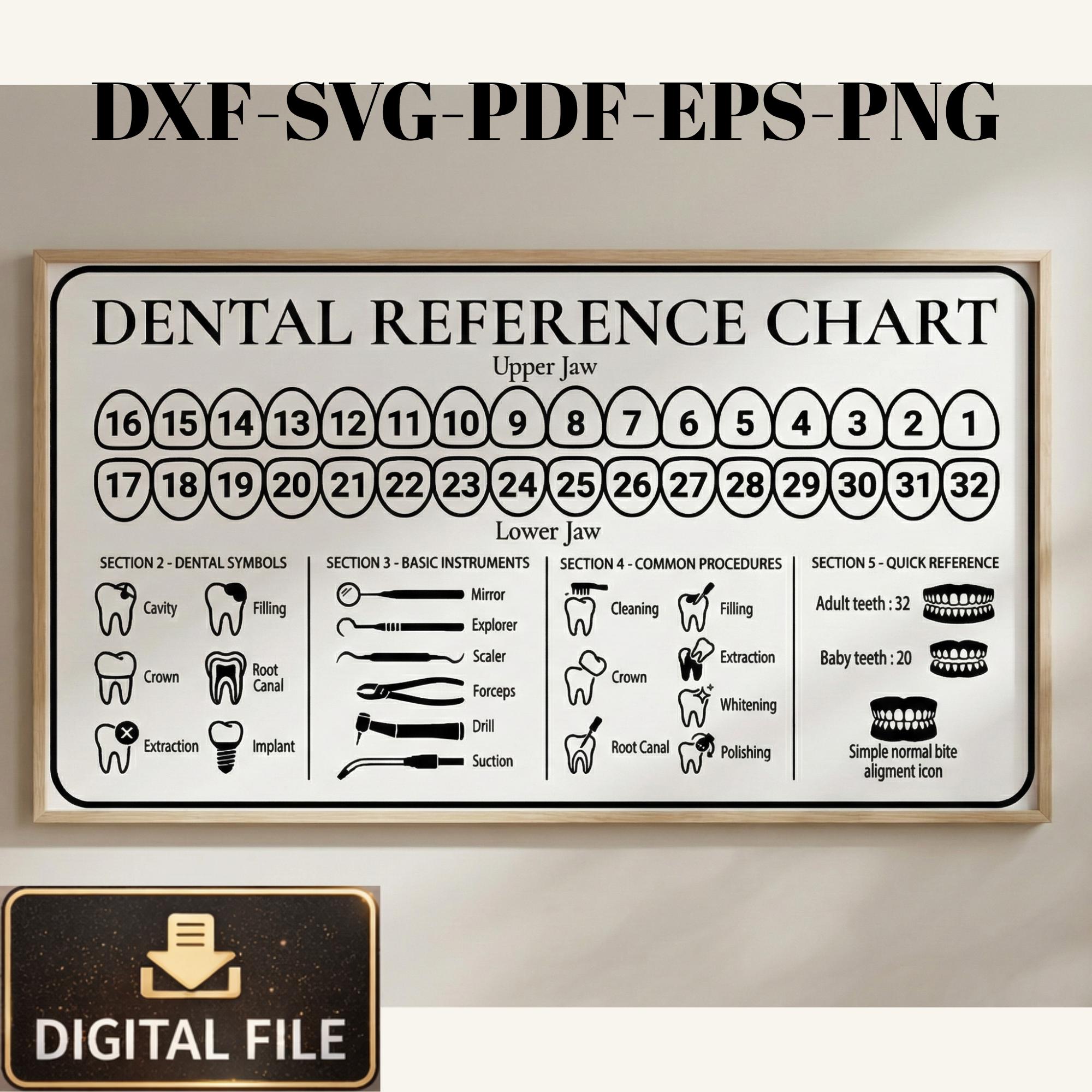 Dental Reference Chart Printable | Tooth Numbering Guide | Dentist ...
