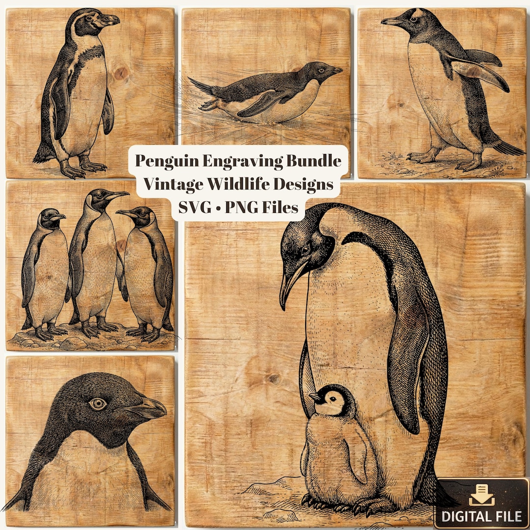 Penguin SVG Bundle, Vintage Penguin Engraving, Antarctic Animal Laser ...