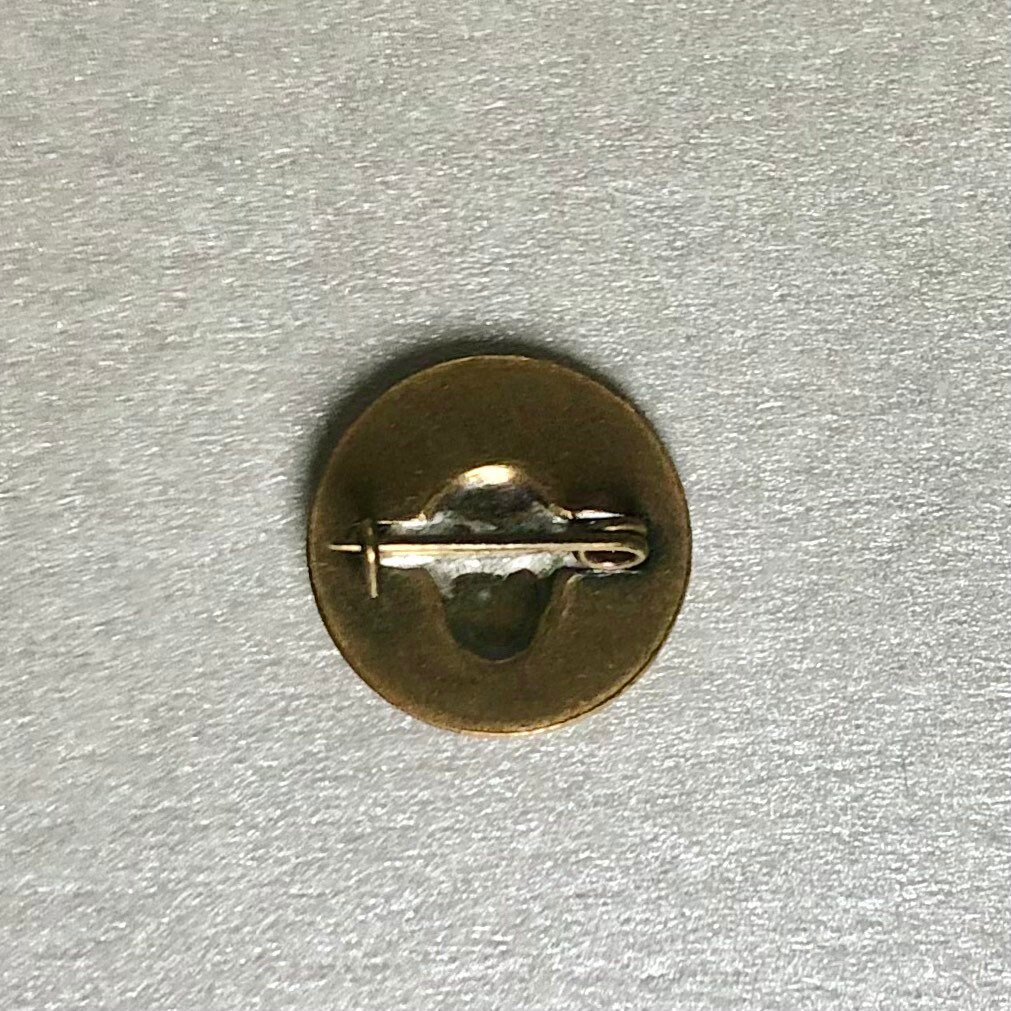 Vintage Bobcat Head Cub Scouts Round Tiny Pin Metal Tone - Etsy