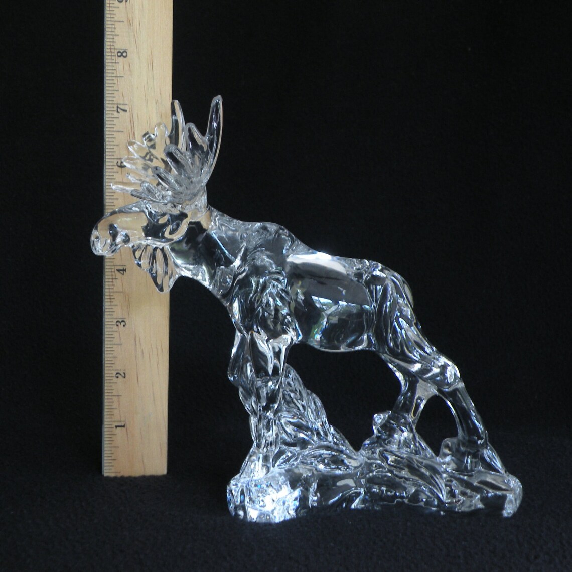 Majestic Moose wonders of the Wild Crystal - Etsy