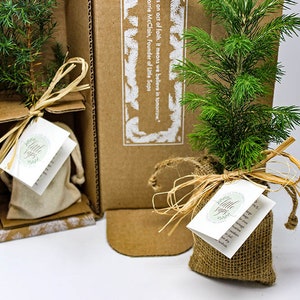 Love is Like a Tree Gift Tree Wedding Gift Anniversary | Etsy