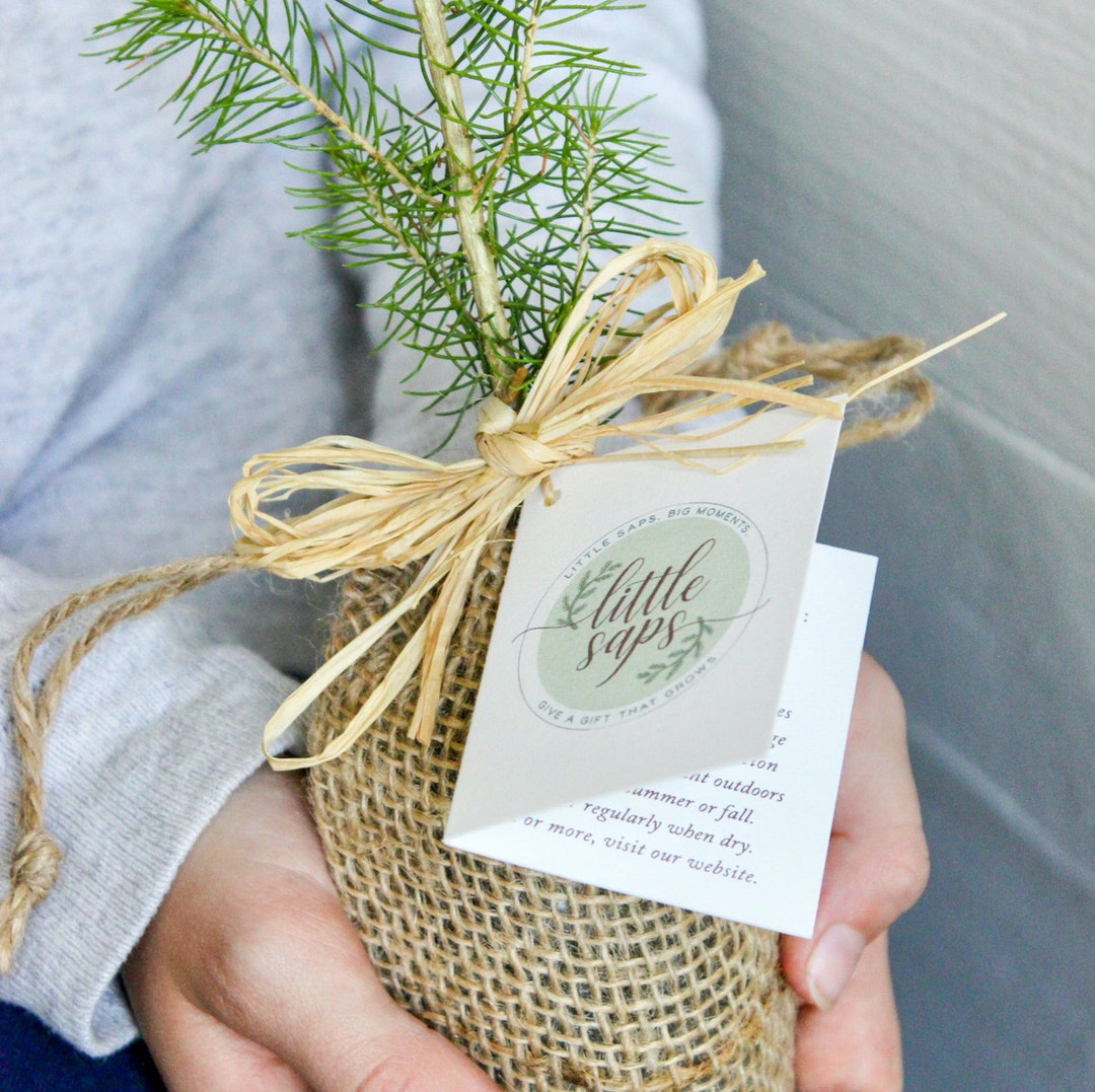 Your Roots Are Strong Gift Tree | Inspirational Gift | Meaningful ...