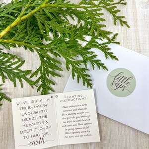 Love is Like a Tree Gift Tree | Wedding Gift | Anniversary Gift ...