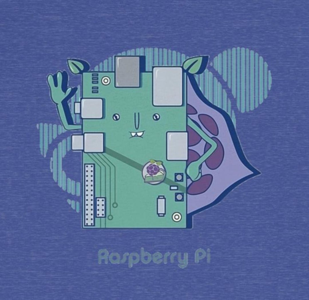 Raspberry Pi Funny Tech Tee Shirt, Computer Programmer Gift, Geeky ...