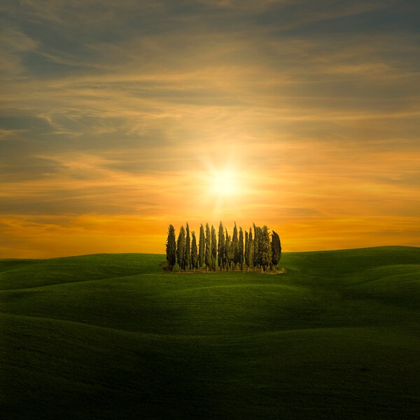 Under the Tuscan Sun - Etsy