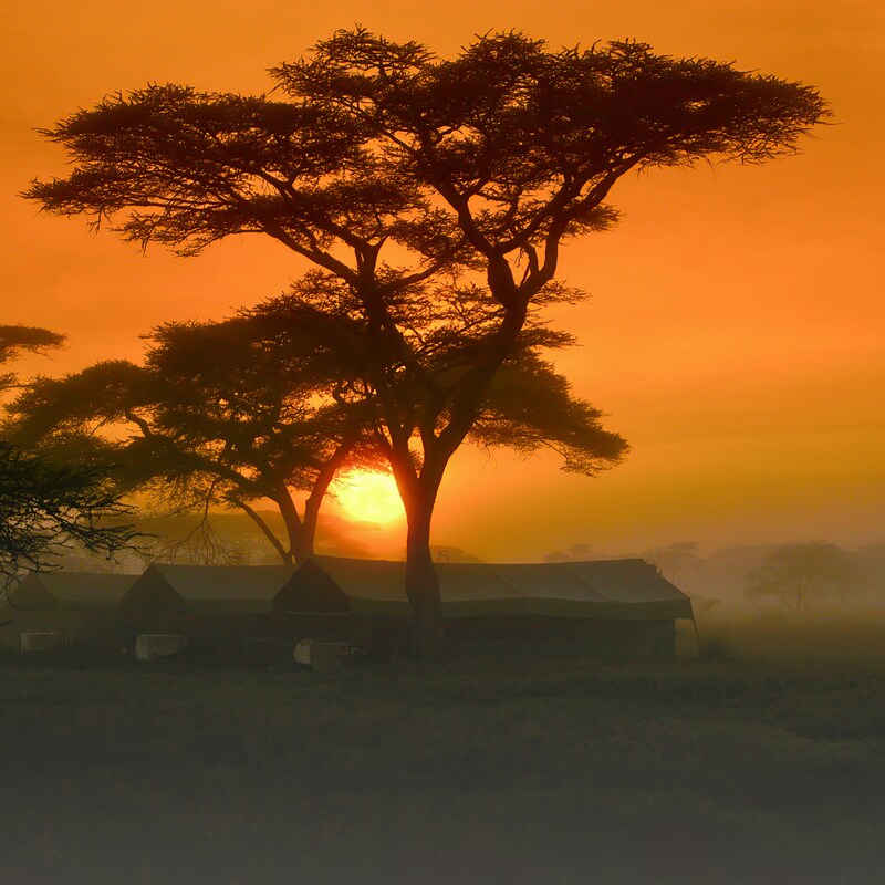 African Photo Backdrop - Etsy