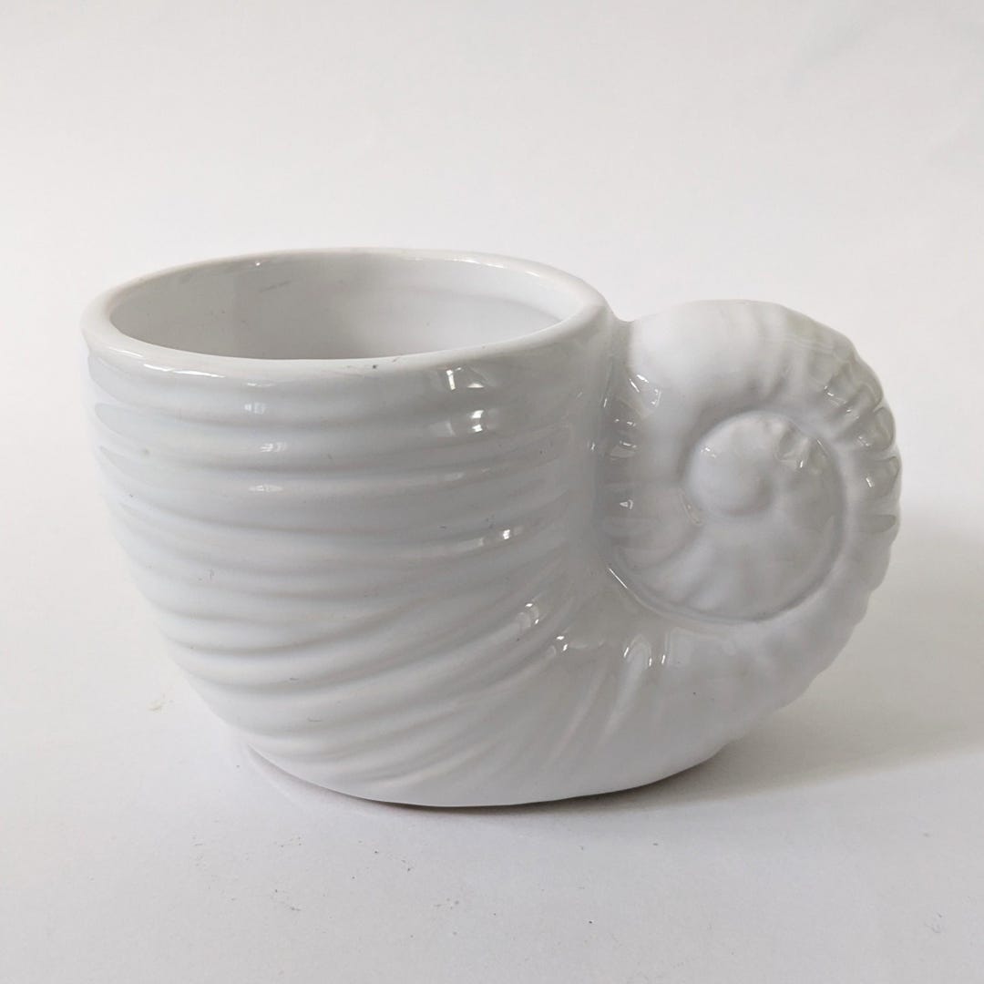 Small White Shell Plant Pot - Etsy