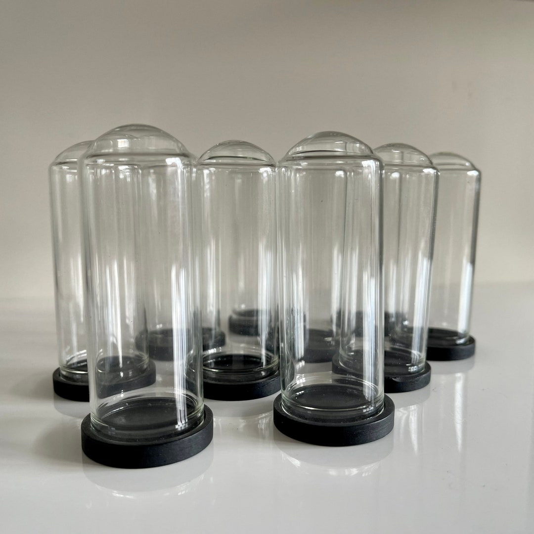 Small Glass Cloche Dome Display Case With Wooden Base. 30 X 80mm - Etsy