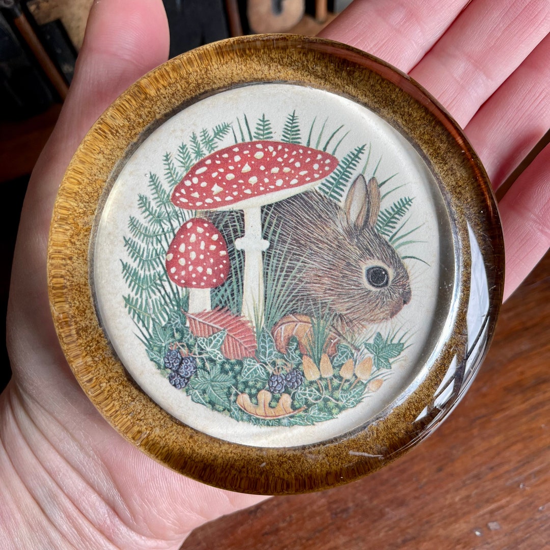 Cute Vintage Glass Paperweight With Bunny Rabbit and Toadstools ...