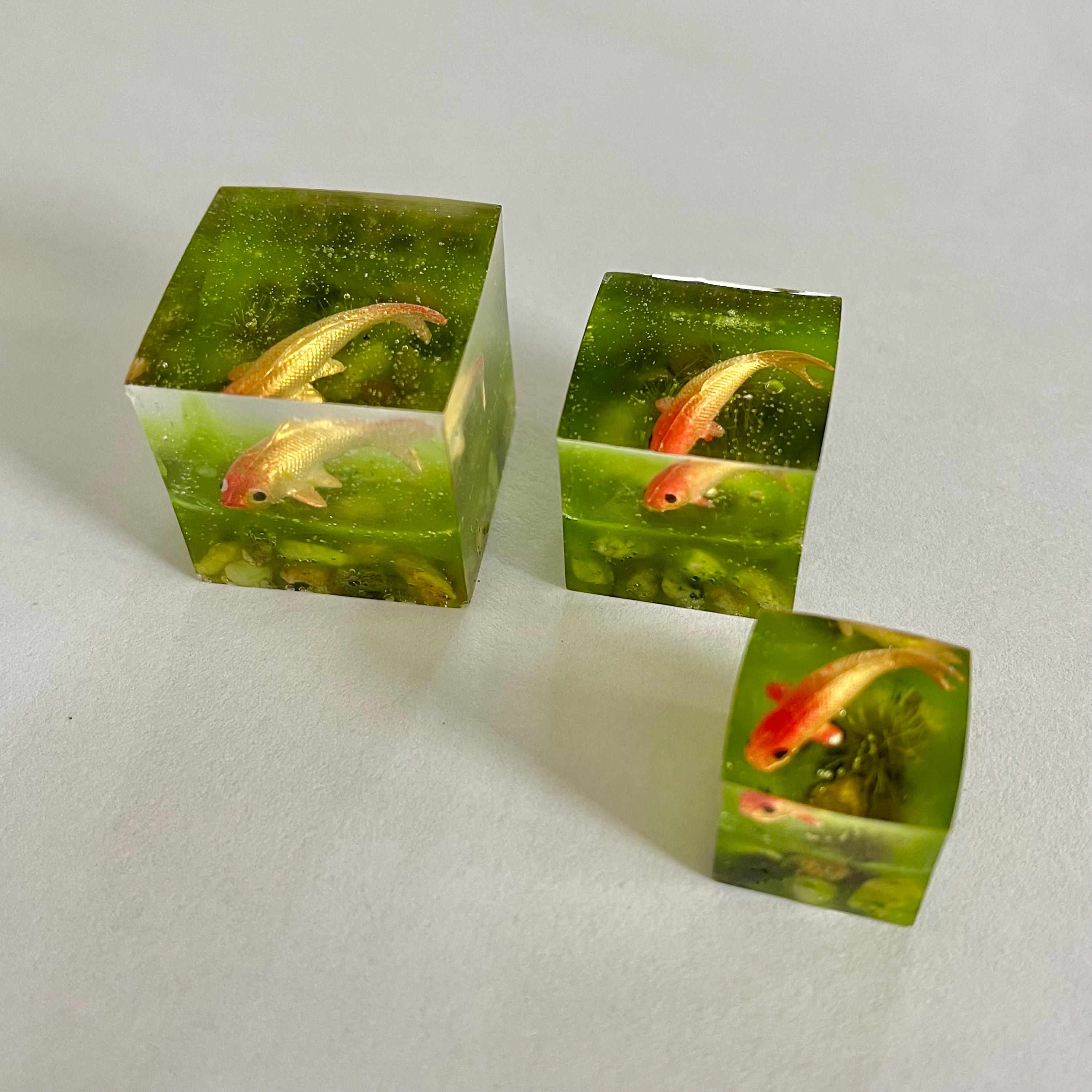 Tiny Handmade Fish Tank, Aquarium With Tiny Goldfish. 3 Sizes Available ...