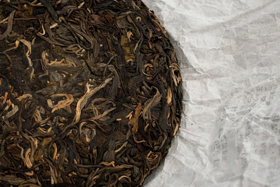 Single Tree Sheng Puerh - 2022 - Rare Loose Leaf Tea From Thailand ...
