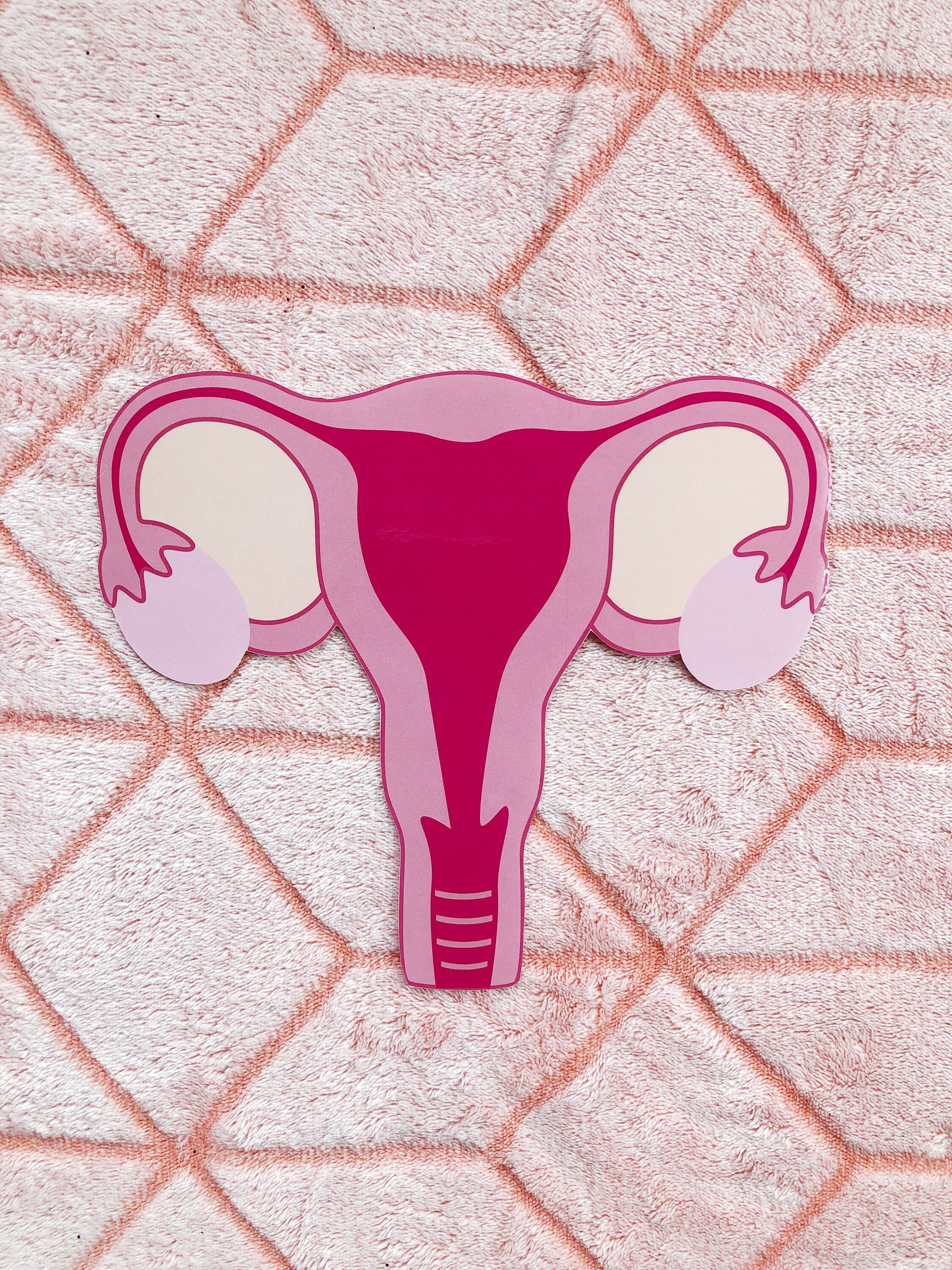 Uterus Vagina Party Printable Downloadable Banner Feminist Wall Art ...