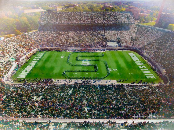 Michigan State Football Stadium Wallpaper