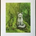 Limited Edition Print of the White Fox - Etsy