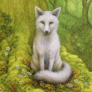 Set of Five Greetings Cards: "creatures of the Forest" - Etsy UK