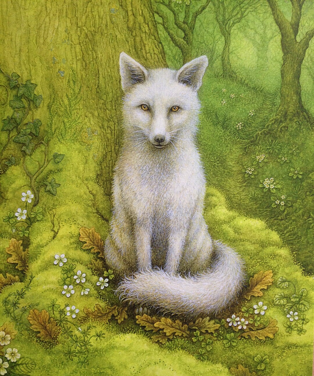 The White Fox Greetings Card - Etsy