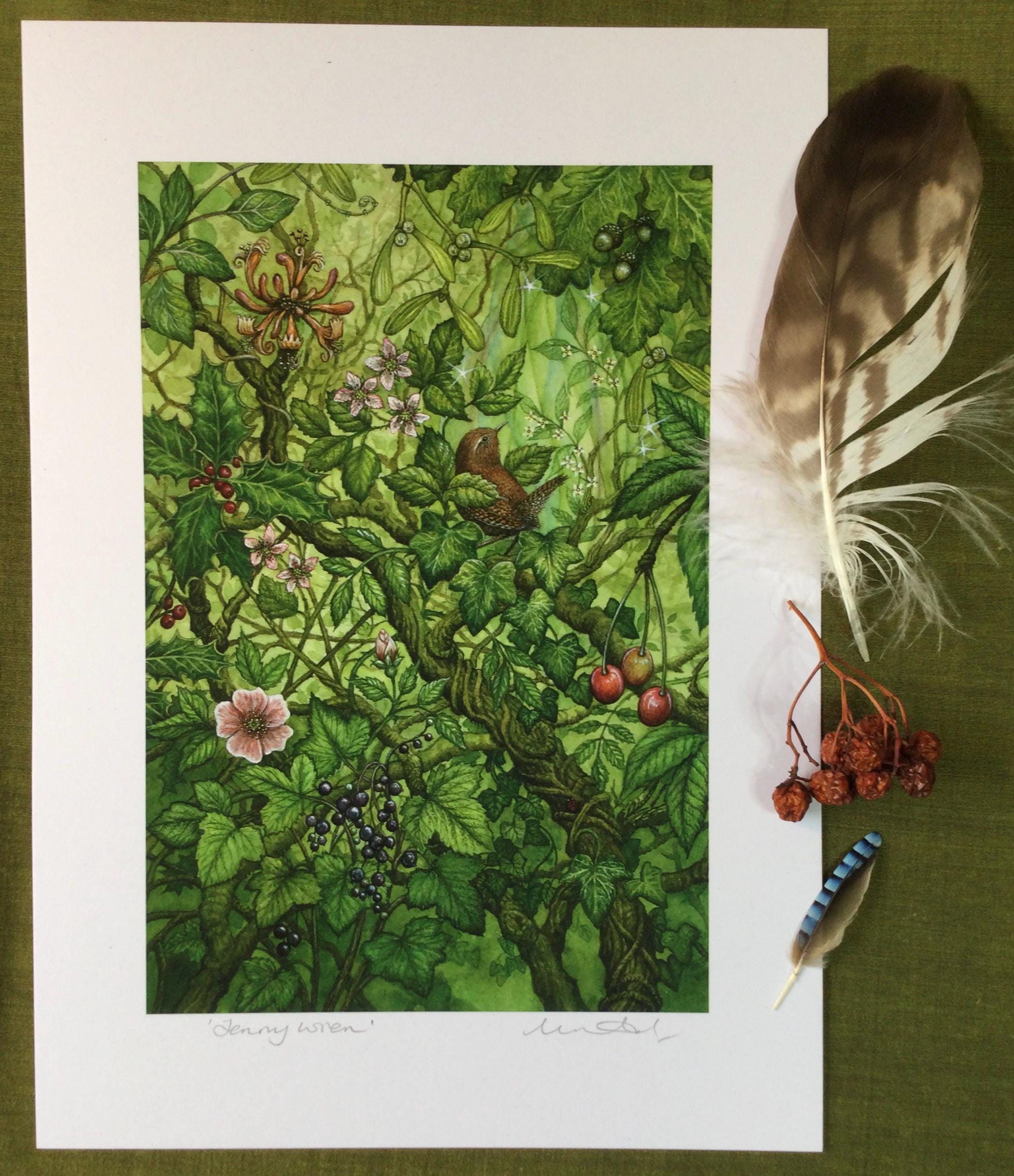 Jenny Wren - Print From the "forest of Enchantment Oracle" - Etsy