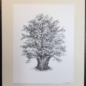 Original Illustration "the Yew Tree" - Etsy