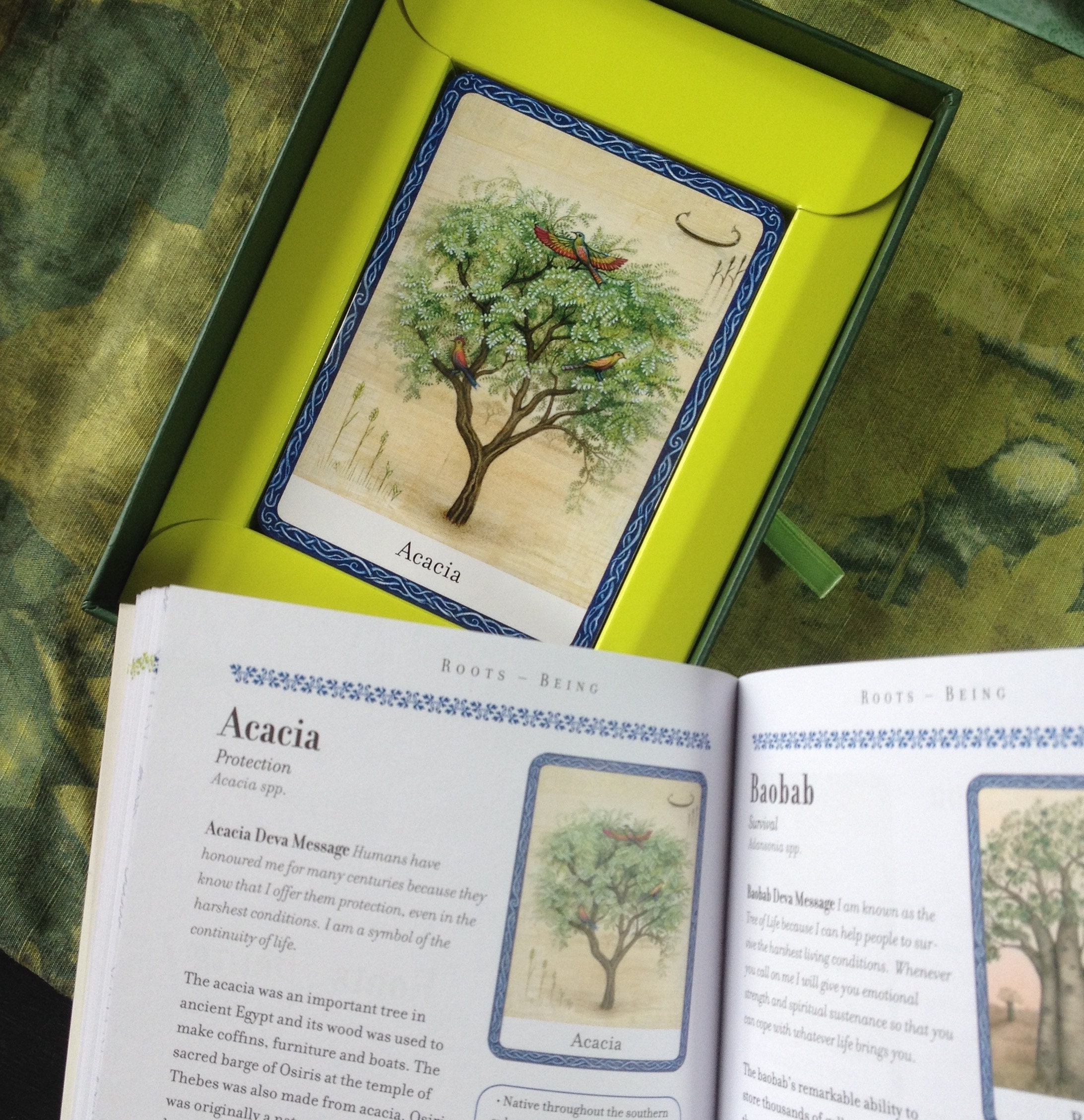 The Wisdom of Trees Oracle - Etsy UK