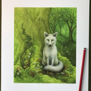 Limited Edition Print of "the White Fox" - Etsy