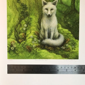 Limited Edition Print of "the White Fox" - Etsy