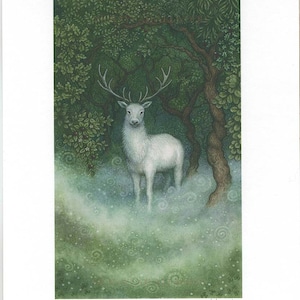 Limited Edition Print of the White Hart. - Etsy