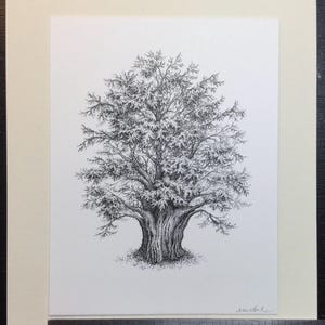 Original Illustration "the Yew Tree" - Etsy