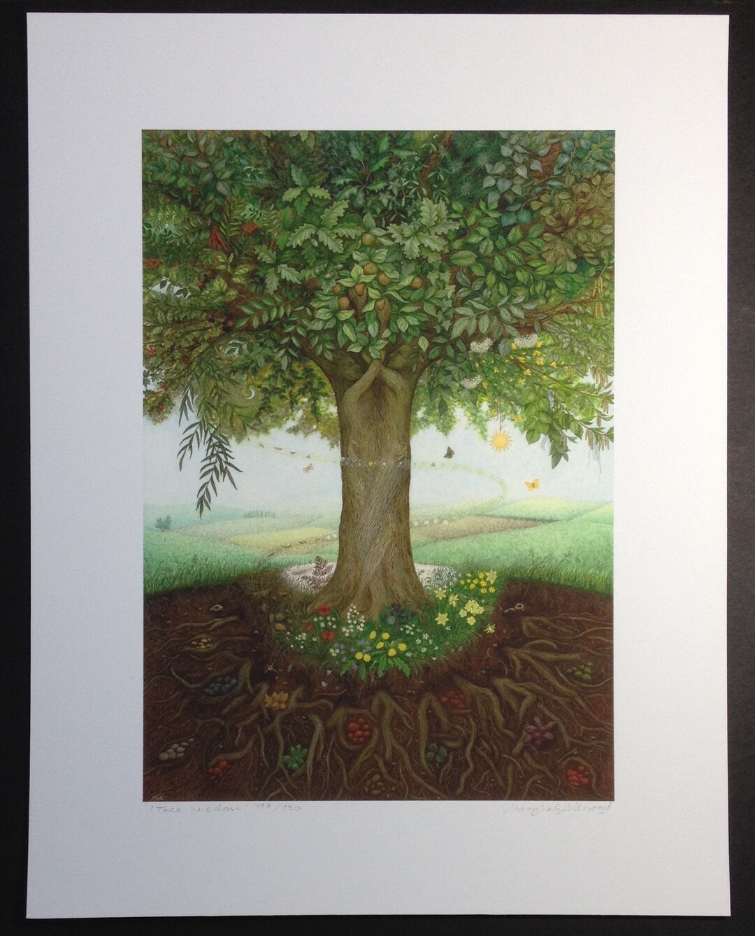 Limited Edition Print of "tree Wisdom". - Etsy UK