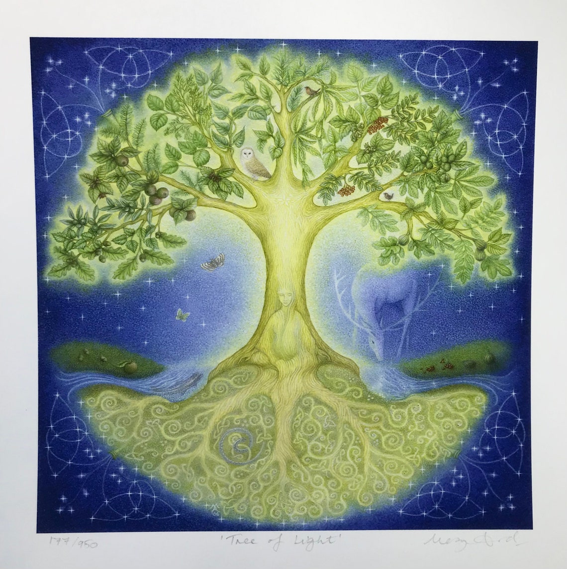 Tree of Light Limited Edition Print | Etsy