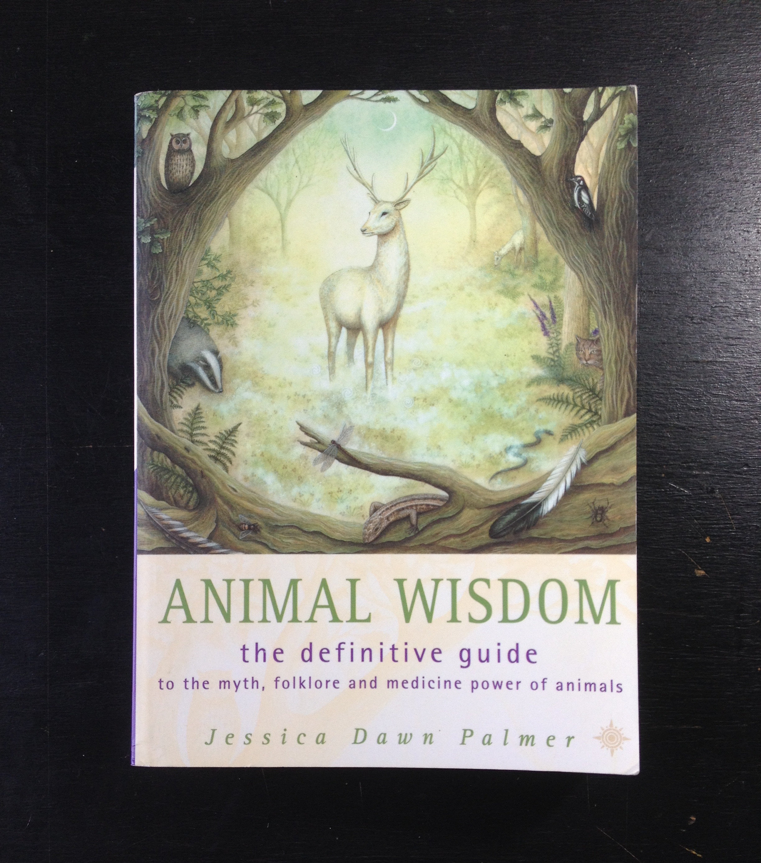 Limited Edition Print of animal Wisdom. - Etsy Australia