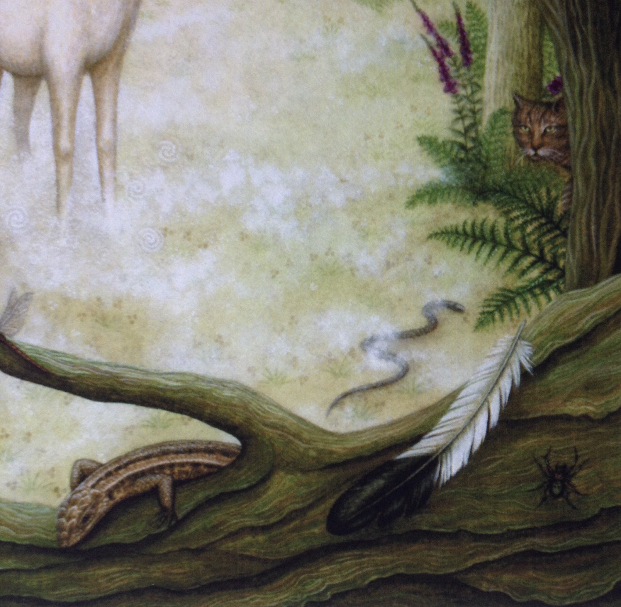 Limited Edition Print of animal Wisdom. - Etsy