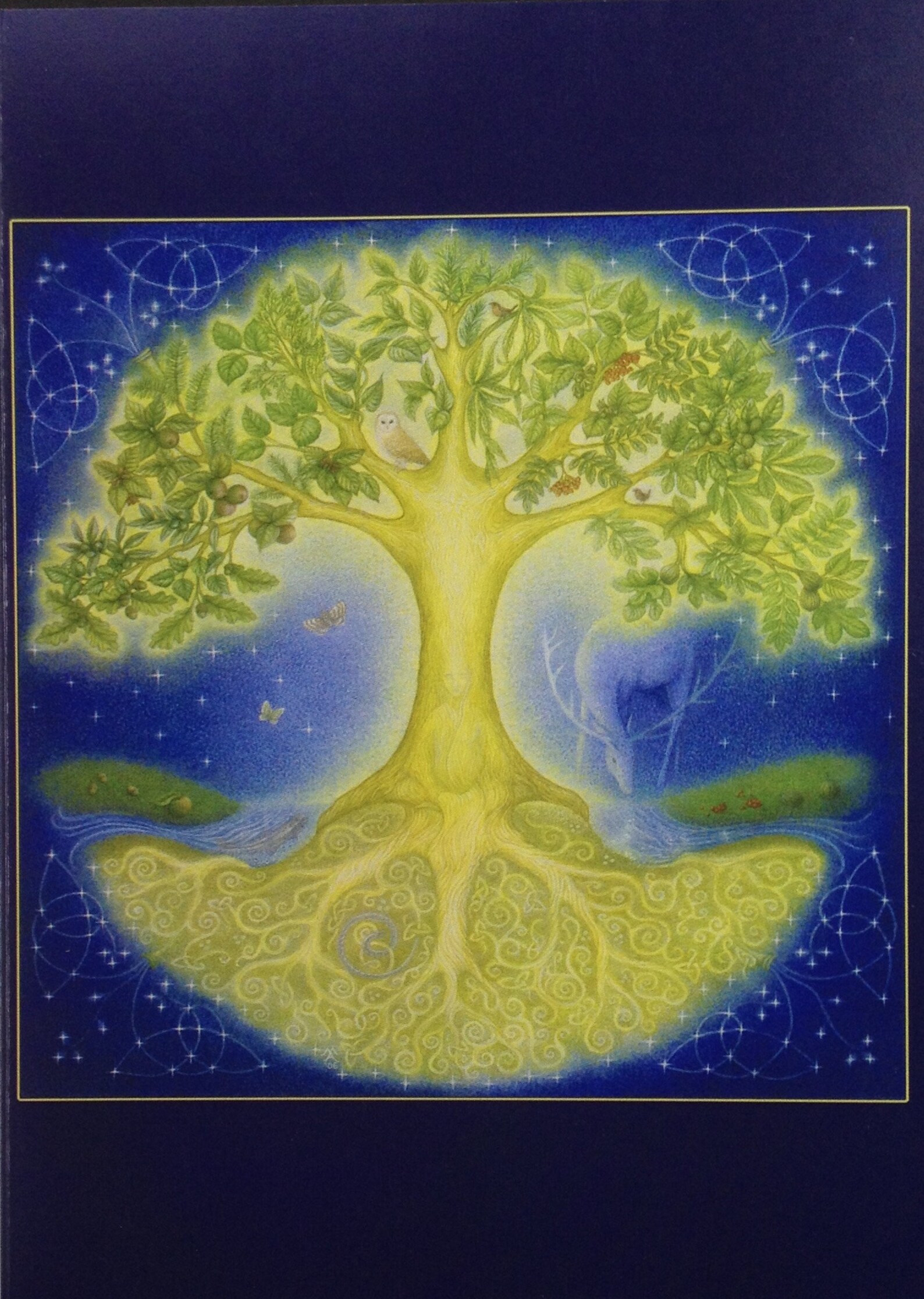 Set of five greetings cards: Spirit of the Forest. | Etsy